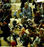 Rum Sleg | Wookieepedia | Fandom