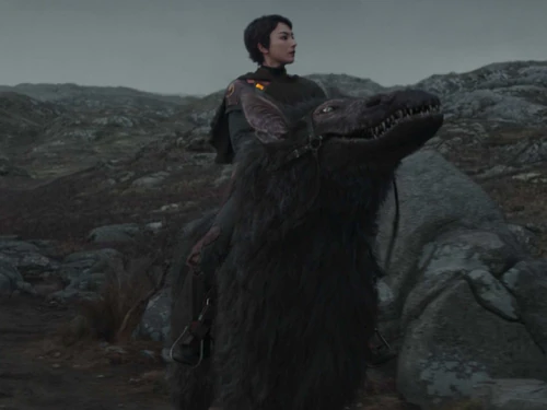 Sabine Wren's howler | Wookieepedia | Fandom