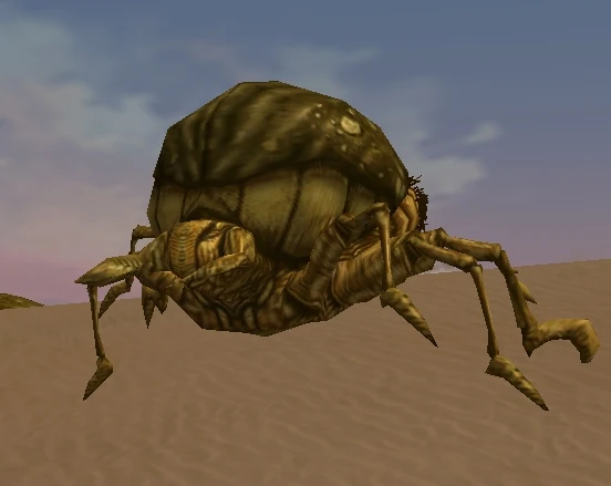 Sand beetle | Wookieepedia | Fandom