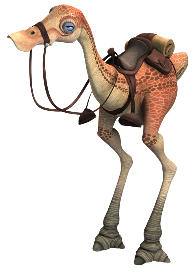 Kaadu | Wookieepedia | Fandom