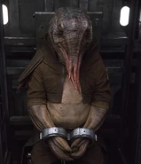 Galerij van Species B | Star Wars Wiki | Fandom