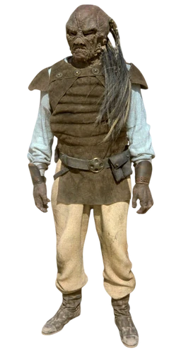 Weequay | Wookieepedia | Fandom