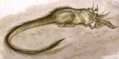 Anooba | Wookieepedia | Fandom