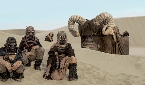 Unidentified Tusken Raider tribe | Wookieepedia | Fandom