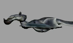 Peko-Peko | Star Wars Wiki | Fandom