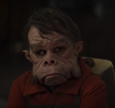 Saifir | Star Wars Wiki | Fandom