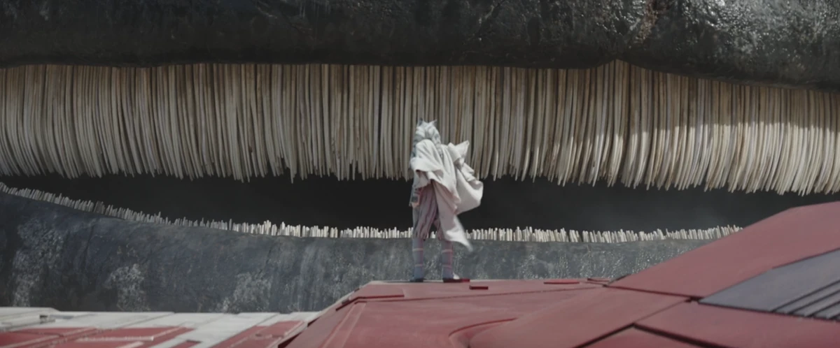 Baleen | Wookieepedia | Fandom