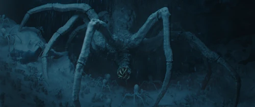 Knobby white ice spider | Wookieepedia | Fandom