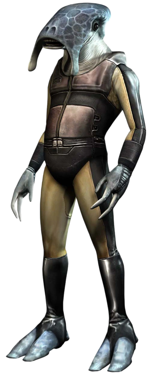 Selkath | Wookieepedia | Fandom