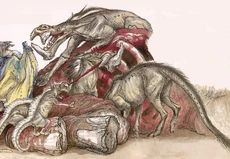 Anooba | Wookieepedia | Fandom