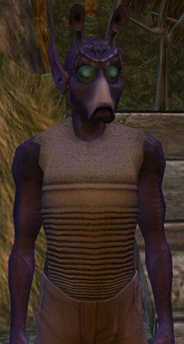 Treesh | Wookieepedia | Fandom