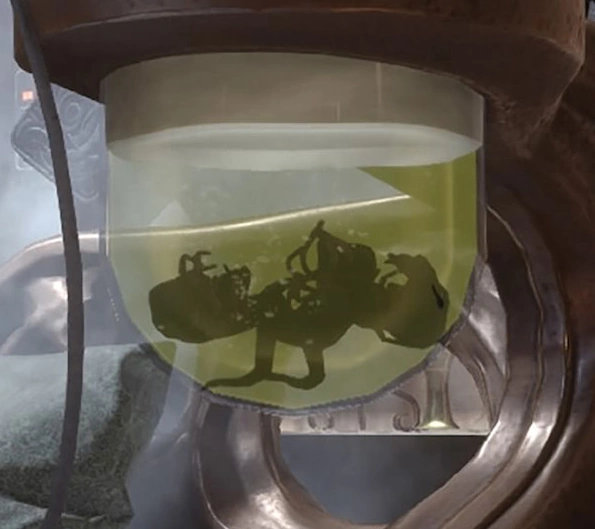 Frog | Wookieepedia | Fandom