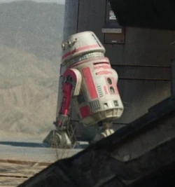 R5-D5 | Star Wars Wiki | Fandom