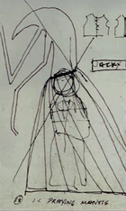 Yam'rii | Wookieepedia | Fandom