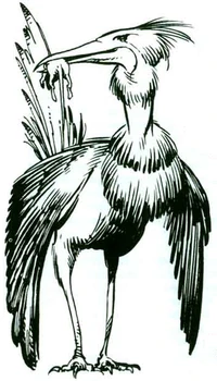 Jubba bird | Wookieepedia | Fandom