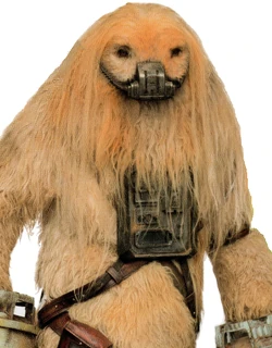 Senna | Star Wars Wiki | Fandom