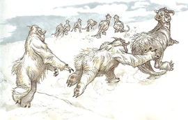 Wampa | Wookieepedia | Fandom