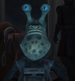 Meebur Gascon | Star Wars Wiki | Fandom
