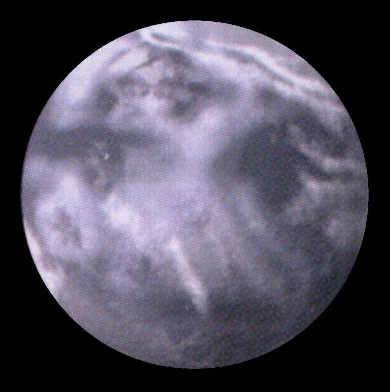 Ison | Wookieepedia | Fandom