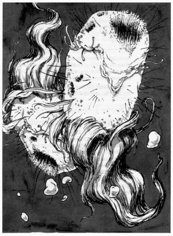 Kalaide | Wookieepedia | Fandom