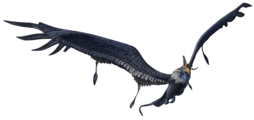 Kama bird | Wookieepedia | Fandom