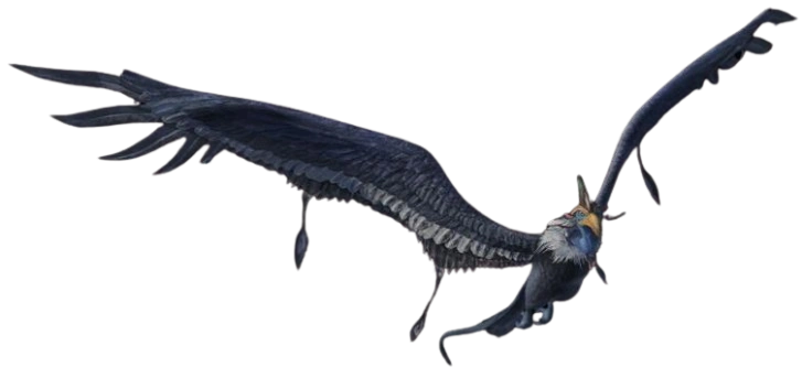 Kama bird | Wookieepedia | Fandom