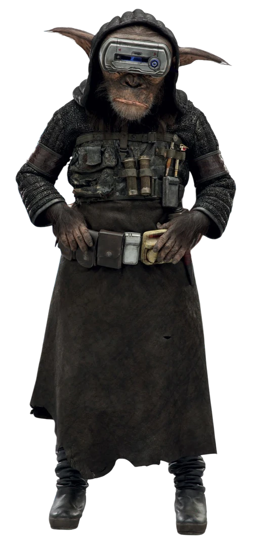 Symeong | Wookieepedia | Fandom