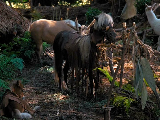 Gaupa | Star Wars Wiki | Fandom