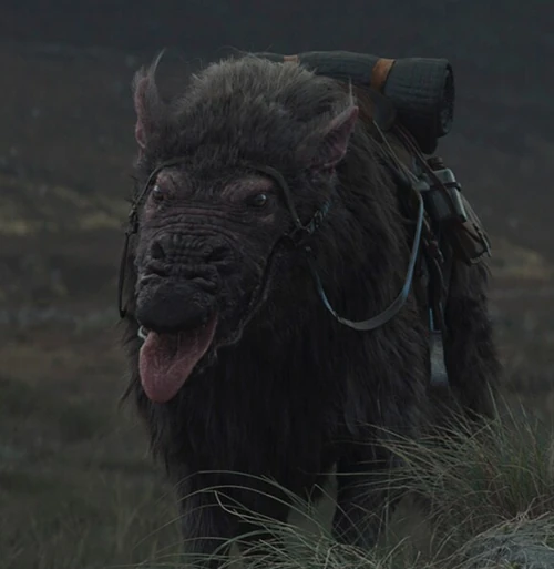 Sabine Wren's howler | Wookieepedia | Fandom