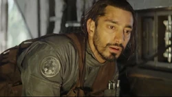 Bodhi Rook | Wookieepedia | Fandom