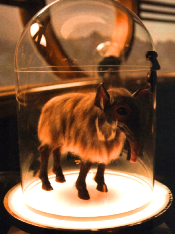 Entropy field | Wookieepedia | Fandom