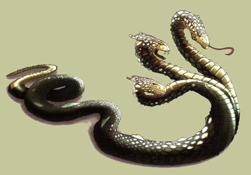 3 Headed Snake