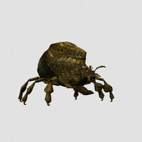 Kreetle | Wookieepedia | Fandom