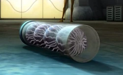 Jogan Fruit | Star Wars Wiki | Fandom