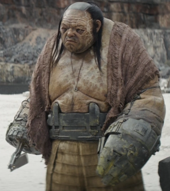 Freedi Pamular | Wookieepedia | Fandom