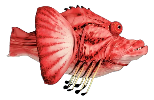 Tee | Wookieepedia | Fandom