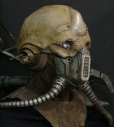 Galerij van Species T | Star Wars Wiki | Fandom