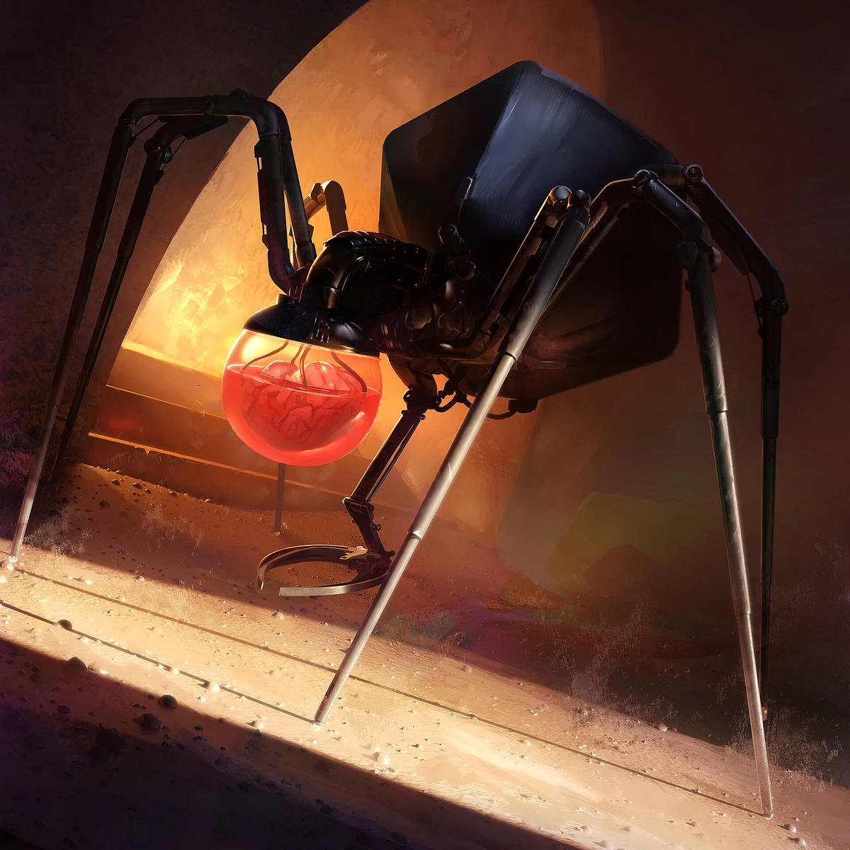 B'omarr Order | Wookieepedia | Fandom