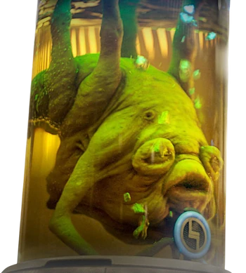 Gallusian | Wookieepedia | Fandom