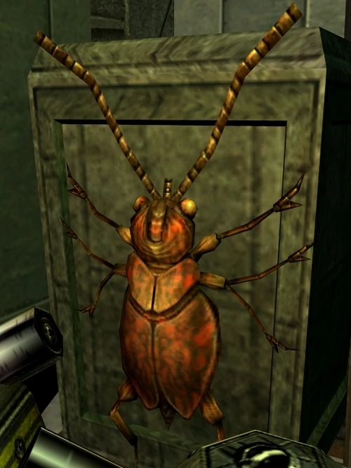 Flame beetle | Wookieepedia | Fandom