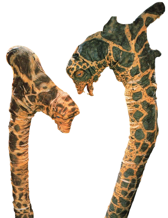 Yuvernian | Wookieepedia | Fandom