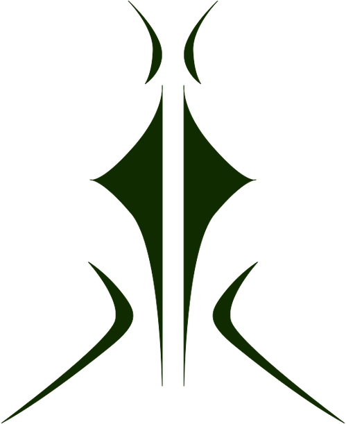 13th Strike Wing | Wookieepedia | Fandom