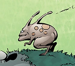 Cerean hopper | Wookieepedia | Fandom