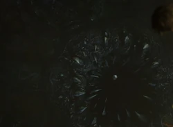 Slither Vine | Star Wars Wiki | Fandom