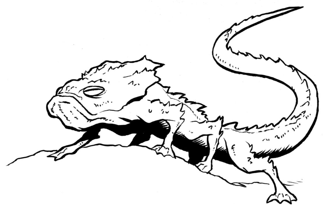 Sun-lizard | Wookieepedia | Fandom