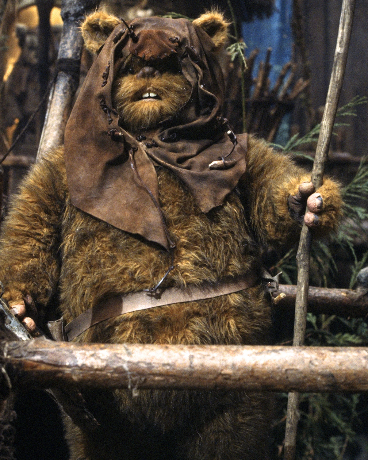 Romba | Wookieepedia | Fandom