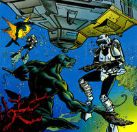 Sedrian | Wookieepedia | Fandom