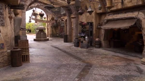 The Wooden Wookiee | Wookieepedia | Fandom