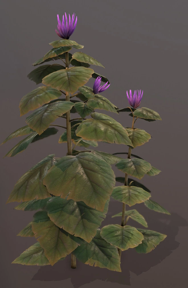 Nathema Flower | Wookieepedia | Fandom