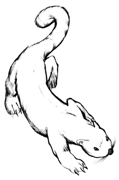 Tuggle | Wookieepedia | Fandom